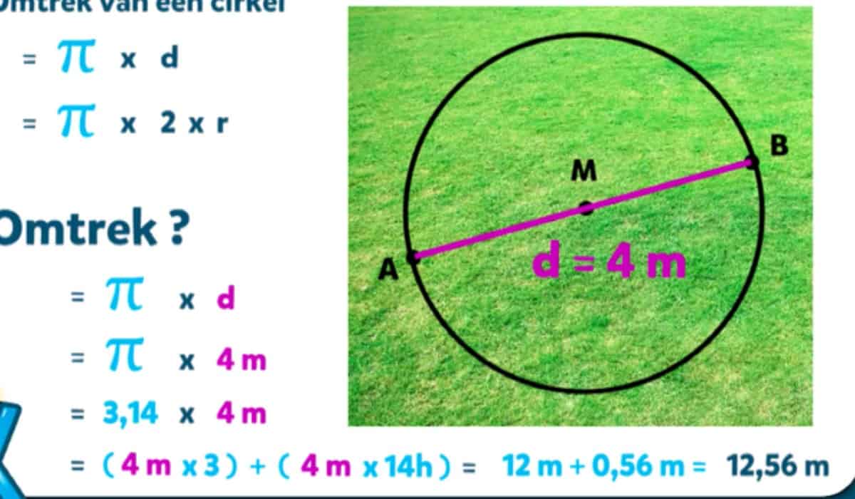 Cirkel en Driehoek: Omtrek en Oppervlakte Berekenen